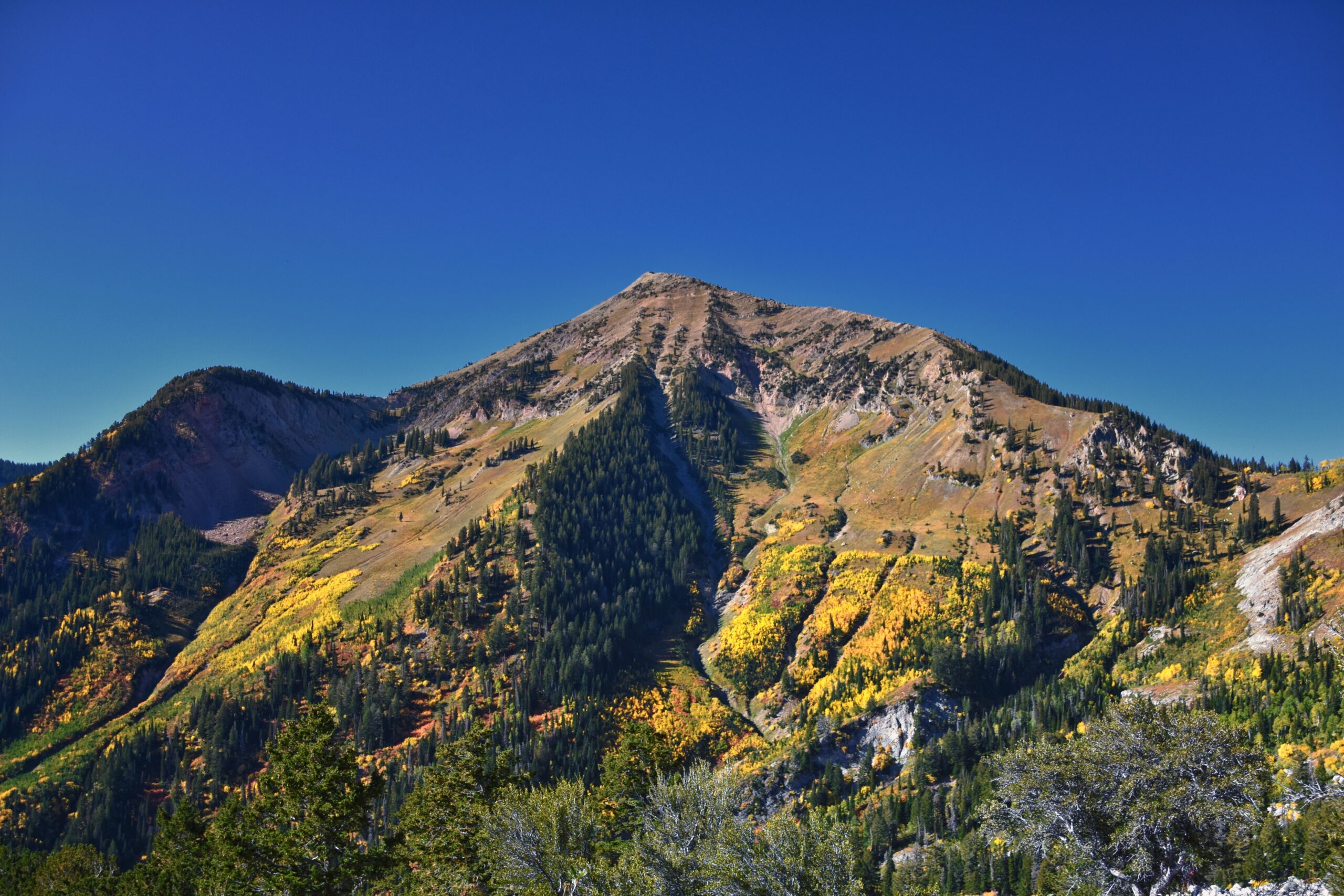 Alpine Property Management - Kasteel Property Management | Utah County ...